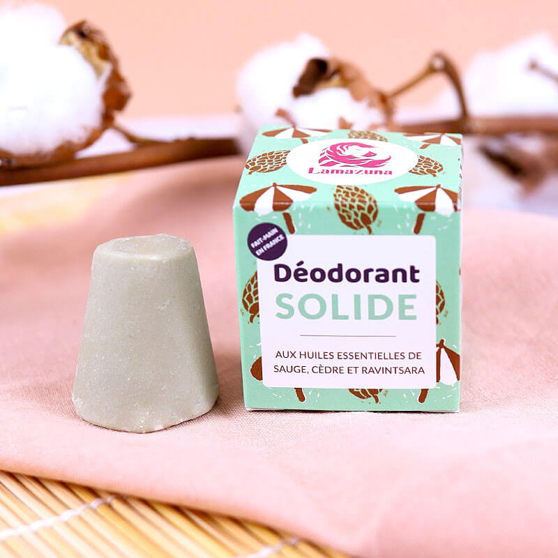 Déodorant solide Les produits cosmétiques zéro déchet